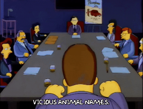 Animal-names GIFs - Get the best GIF on GIPHY