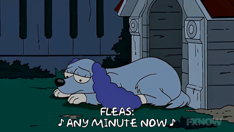 The Simpsons Dog GIF - Find & Share on GIPHY