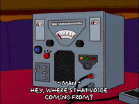 Maury Lie Detector Gif