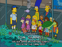 Coral Real World Gif