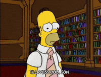 Books Falling Off Shelf Gif