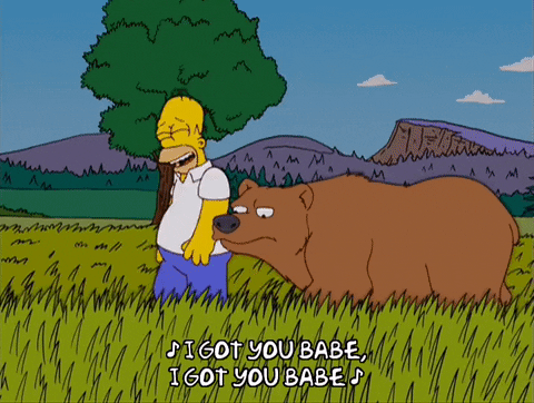 Homer Simpson Bear GIF - Find & Share on GIPHY