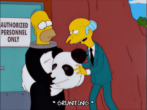 Homer Simpson Panda GIF - Find & Share on GIPHY