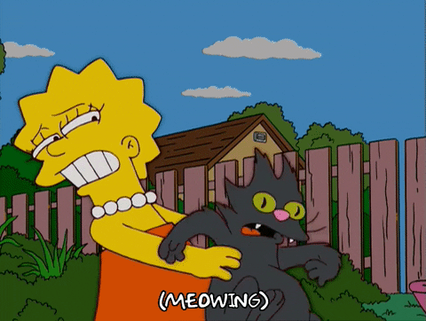 Protecting Self GIFs - Get the best GIF on GIPHY