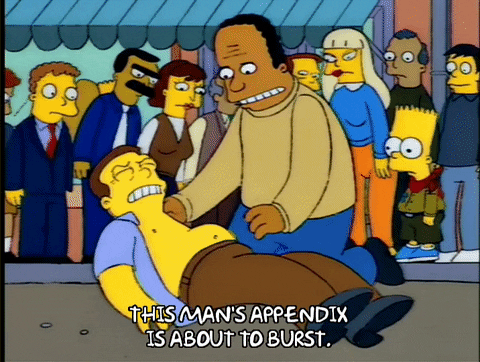 Simpsons Appendix GIFs - Get the best GIF on GIPHY