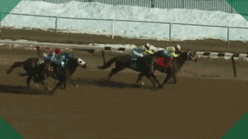 Ridge Route GIFs - Find & Share on GIPHY