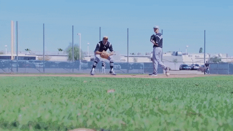 Hlbb GIFs - Get the best GIF on GIPHY