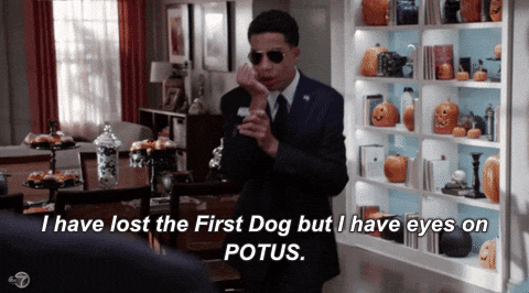 First-dog GIFs - Get the best GIF on GIPHY