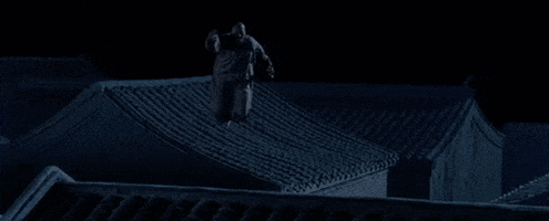 GIF by Crouching Tiger, Hidden Dragon - Find & Share on GIPHY
