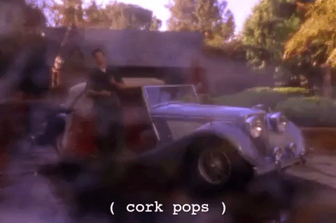 Cork-popping GIFs - Get the best GIF on GIPHY
