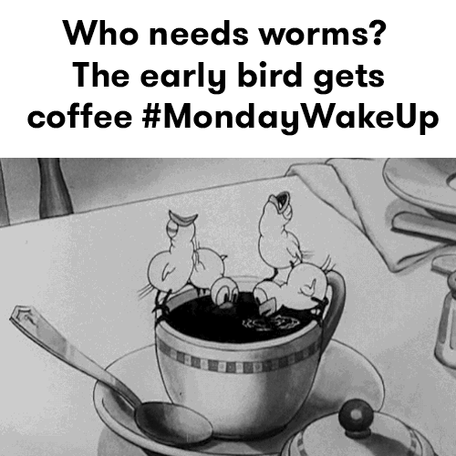 Coffee Monday Morning GIFs - Find & Share on GIPHY