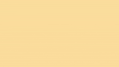 Cultural Competency GIFs - Get the best GIF on GIPHY