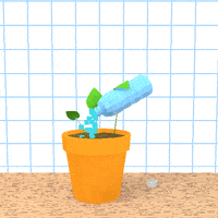 Plant Growing Gif