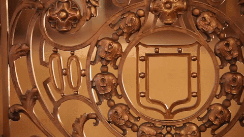 Canadian-hotels GIFs - Get the best GIF on GIPHY