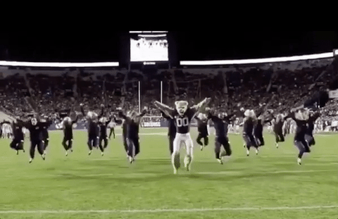 Byu-mascot GIFs - Get the best GIF on GIPHY