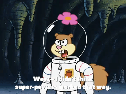 Season 2 Chocolate With Nuts GIF by SpongeBob SquarePants - Find ...