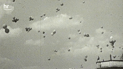 Documenta GIFs - Get the best GIF on GIPHY