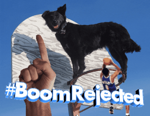 Cool Dogs GIFs - Get the best GIF on GIPHY