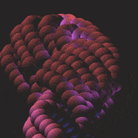 Undulation Gif