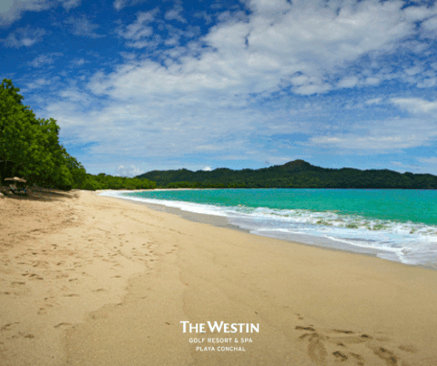 Costa Rica Beaches GIFs - Get the best GIF on GIPHY