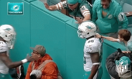 Miami Dolphins Football GIF by NFL - Find & Share on GIPHY