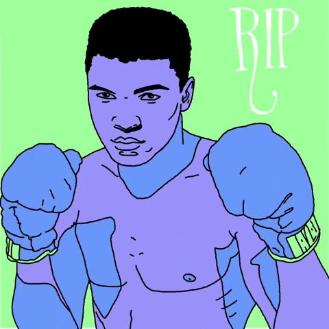 Muhammad Ali Boxing GIF by Cartuna - Find & Share on GIPHY