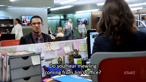 Mewling GIFs - Get the best GIF on GIPHY