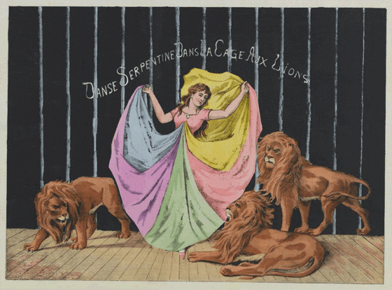 Dance Lions By GIF - Find & Share on GIPHY