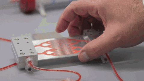 Blood Health GIF by Harvard University - Find & Share on GIPHY
