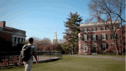 Harvard Yard College GIF by Harvard University - Find & Share on GIPHY