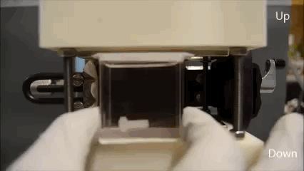 Magnet Levitation GIF by Harvard University - Find & Share on GIPHY