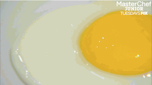 Masterchef Junior GIF by Fox TV - Find & Share on GIPHY