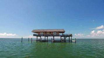 Biscayne Bay GIFs - Find & Share on GIPHY