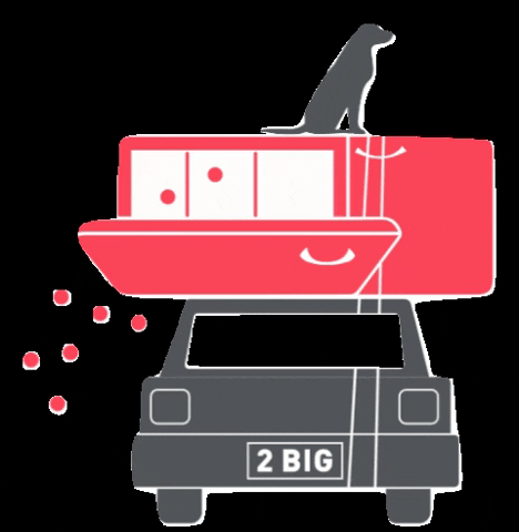 Smart Express GIFs on GIPHY - Be Animated