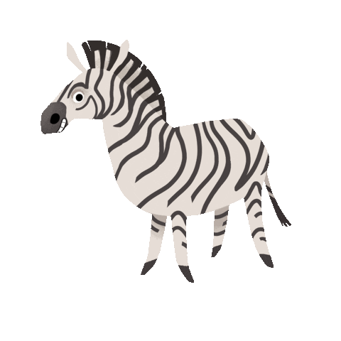 Cute Baby Zebra Gif