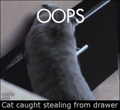 Oops Cat Meme