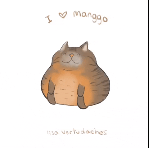 Mango Cat GIFs - Get the best GIF on GIPHY