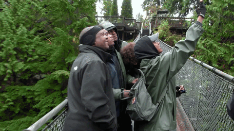 Picture Perfect GIF by Hallmark Channel - Find & Share on GIPHY