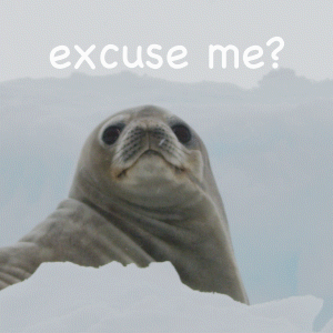 Excuse Me Reaction GIF by OceanX - Find & Share on GIPHY