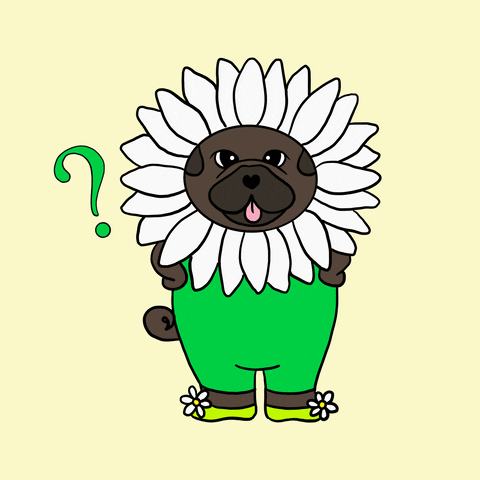 Hello Daisy GIFs - Find & Share on GIPHY