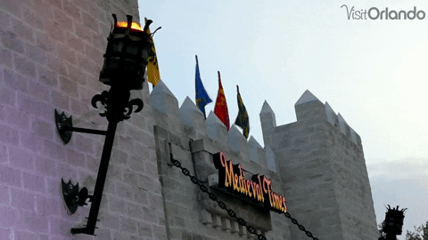 Medieval Times Fun GIF by visitorlando - Find & Share on GIPHY