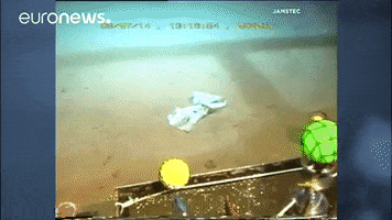 Water Pollution GIFs - Find & Share on GIPHY