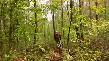 Ohio GIFs - Find & Share on GIPHY