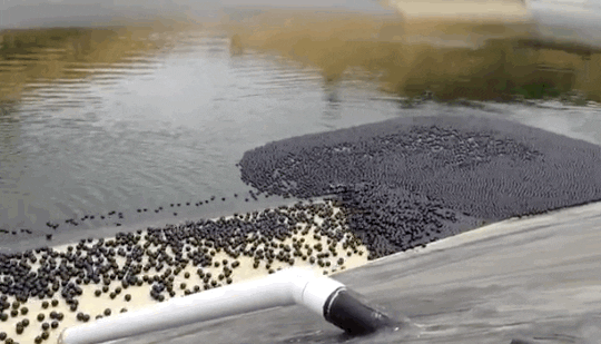 California Drought GIFs - Get the best GIF on GIPHY