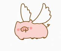 Flying Pig Gif