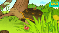 Cecil Turtle Gif