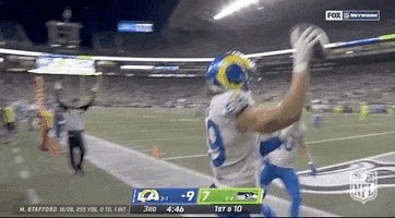 TNF GIFs: Seahawks vs Rams Recap! by Sports GIFs | GIPHY