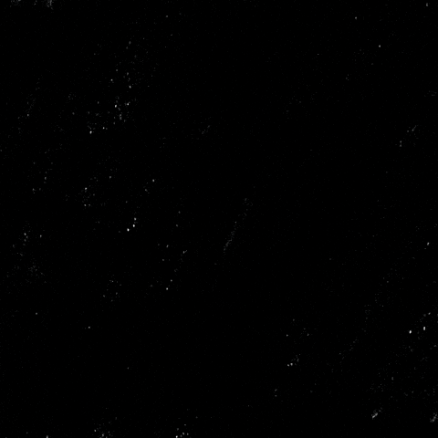 No Students GIFs - Find & Share on GIPHY