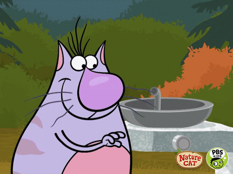 Nature Cat Water GIF by PBS KIDS - Find & Share on GIPHY