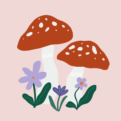 Floral-magic GIFs - Get the best GIF on GIPHY